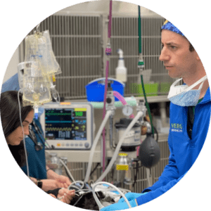 Best Veterinary Hospital In Brooklyn, NY | VERG Brooklyn