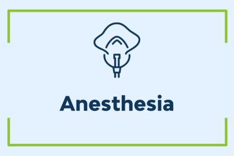 Best Emergency Vet In Brooklyn, NY 11217 | VERG Brooklyn