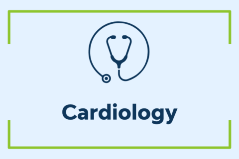 Best Emergency Vet In Brooklyn, NY 11217 | VERG Brooklyn