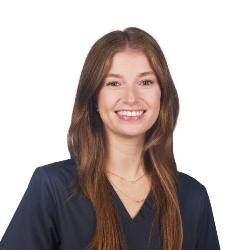 Veterinarian In Brooklyn, NY 11217 | VERG Brooklyn