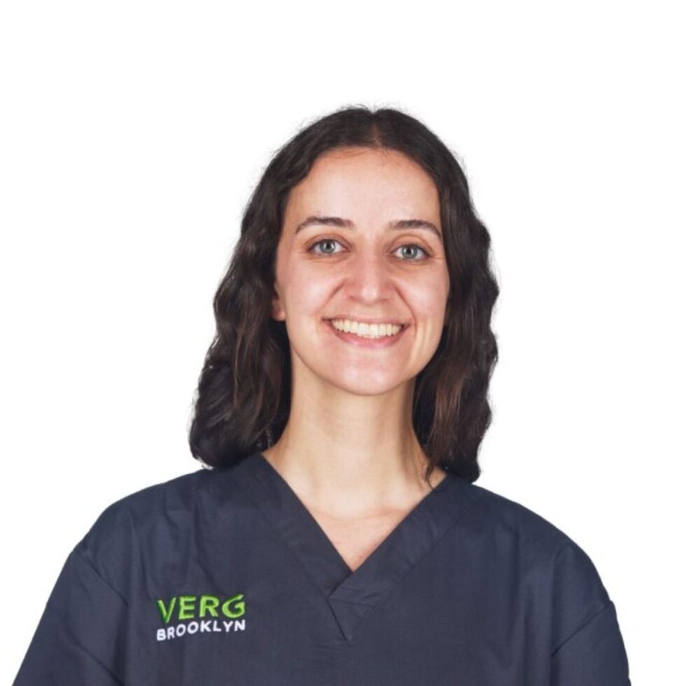 Veterinarian In Brooklyn, NY 11217 | VERG Brooklyn