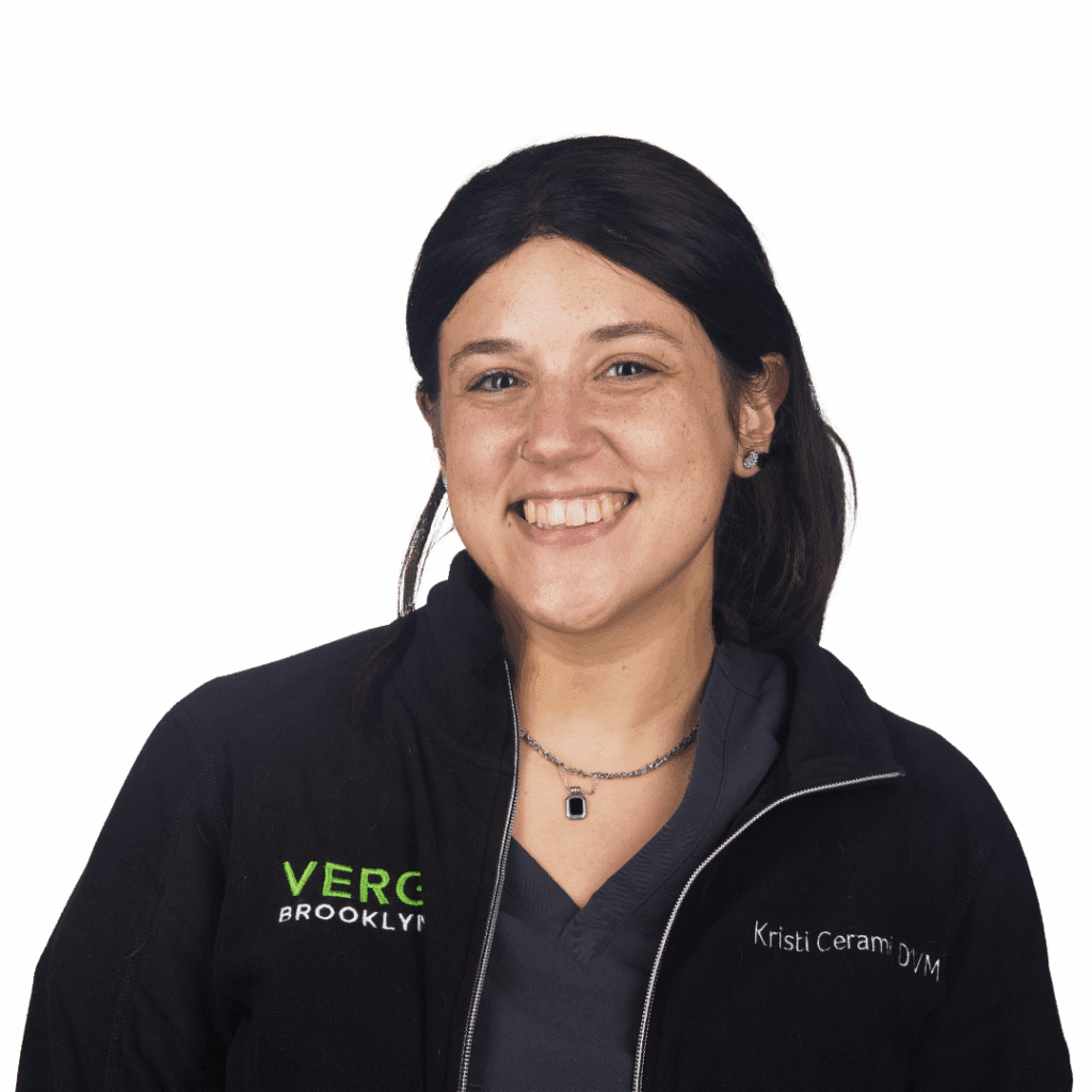 Veterinarian In Brooklyn, NY 11217 | VERG Brooklyn